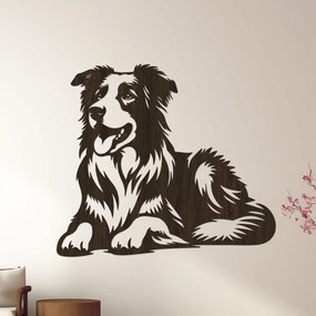 dřevo života Dřevěná dekorace psa BORDER COLLIE Zvolte rozměr (cm): 60x51, Zvolte barvu dekoru: Wenge