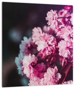 Obraz květů stromu (30x30 cm)