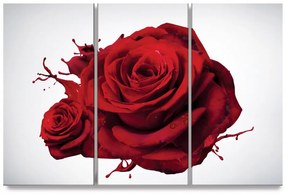 Malvis ® Vícedílný obraz - Růže Velikost: 90x60 cm