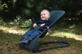 Kidnort Vinbär Lehátko černé