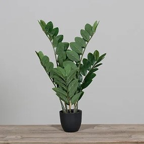 Květina umělá Zamiaculcas v černém plastovém květináči, 60cm, textil, zelená, (balení obsahuje 1ks)|DPI|Ego Dekor