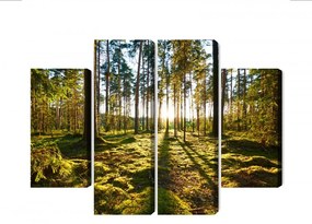 Vícedílný obraz Lesní Krajina Se Západem Slunce Nedostatek Nedostatek Plátno Canvas 120x90