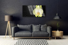 Plexisklo-obraz Bambus Květ Orchidej 100x50 cm