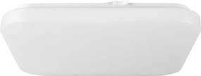 PLAFON LED stropní svítidlo, 900 lm, 10 W