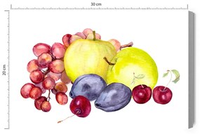 Obraz Letní Ovoce Malované Akvarelem Nedostatek Nedostatek Přírodní plátno 90x60