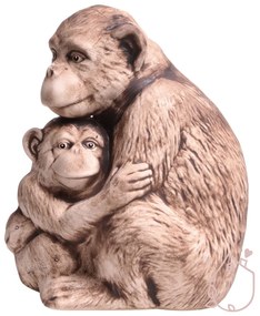 Opice Judy s mládětem