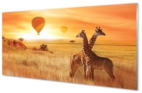 Obraz na skle Balóny nebe žirafa 100x50 cm