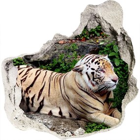 Wallmuralia Fototapeta díra na zeď Tygr na skále 75x75 cm