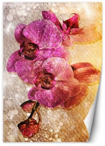 Gario Fototapeta Fialové orchideje Materiál: Vliesová, Rozměry: 100 x 140 cm