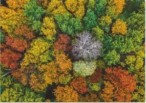 DODO Puzzle Dzembronya, Ukrajina / 1000 dílků