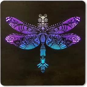 Li-Go "Vážka" světelný obraz RGB s baterií 62x62 cm provedení povrchu: dub světlý