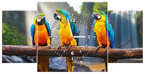 Gario Obraz s hodinami Barevní papoušci - 3 dílný Rozměry: 90 x 70 cm
