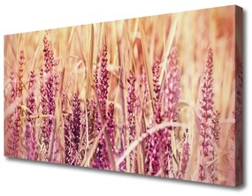 Obraz na plátně Pšenice Rostlina Příroda 140x70 cm