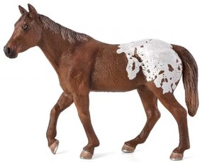 Mojo Appaloosa hřebec blanket