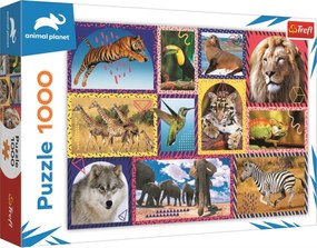 TREFL PUZZLE Animal Planet Divoká příroda 68x48cm skládačka 1000 dílků tr10673