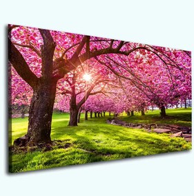 Malvis ® Obraz Kvetoucí alej Velikost: 150x100 cm