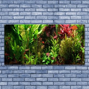 akrylový obraz Rostlina Květiny Příroda 120x60 cm