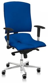 Zdravotní židle Steel Standard+ II / modrá