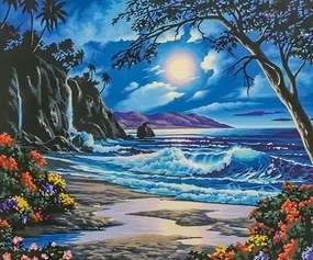 NORIMPEX Malování podle čísel Ráj v noci / 40x50 cm
