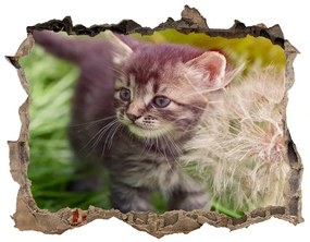 Wallmuralia Díra 3D fototapeta nálepka Kočka s pampeliškou 95x64 cm