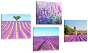 Set obrazů levandulové pole Varianta: 4x 60x60