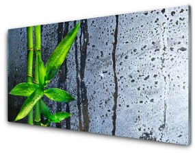 Obraz na skle Bambus List Rostlina Příroda 120x60 cm