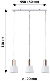Paulmann 79657 - 3xE14/20W Lustr na lanku NEORDIC HALDAR 230V