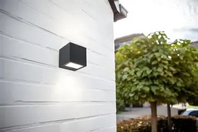 LUTEC Gemini / Nástěnné svítidlo / LED / 9W