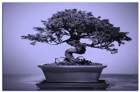 Obraz na plátně - Bonsai 1244VA (120x80 cm)