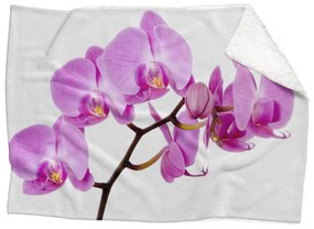 Deka Růžová orchidej (Rozměr : 150 x 120 cm, Podšití beránkem: ANO)