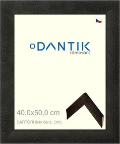 DANTIK rámeček 40x50 | SARTORI listy čer.s. (Sklo Čiré)