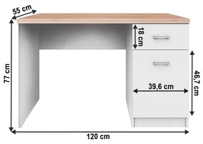 Kondela PC stůl 1D1S, bílá / dub sonoma, TOPTY TYP 09
