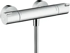 Hansgrohe Ecostat - Termostatická sprchová baterie 1001 CL chrom