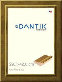 DANTIK rámeček 29,7x42 | Oro Fino zlatá (Plexi Čiré)