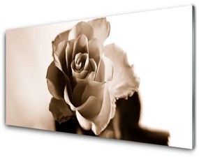 akrylový obraz Růže Květ 125x50 cm