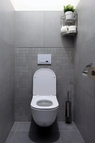 Sanela - Automatický splachovač WC s elektronikou ALS do montážního rámu SLR 21, bílé tlačítko, 24 V DC