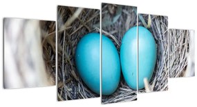 Obraz modrých vajíček v hnízdě