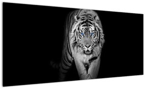 Černobílý lev - obraz (100x40cm)