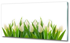 Wallmuralia Fotoobraz na skle Bílé tulipány 100x50