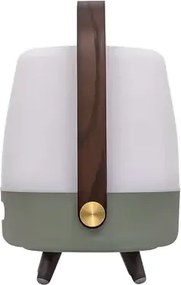 Lite-Up Play Mini zelená / Přenosná LED lampa s reproduktorem