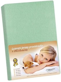 Prostěradlo bellatex jersey s elastanem - 200 x 220 cm - sv.zelená