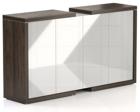 NABYTEK-DESIGNOVY.CZ - DL3213 - Manažerská skříň SOLID, 4 dvéřová, policová (3 patra polic ve všech sekcích), výška 118cm, délka 211,2cm, jilm royal/bílá