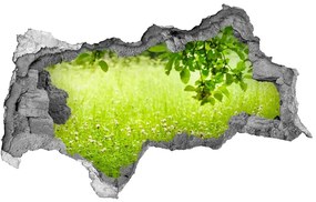 Wallmuralia Nálepka fototapeta 3D výhled Zelená louka 95x73 cm