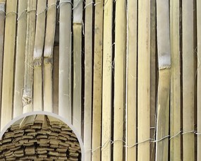 PILECKÝ s.r.o. Štípaný bambus BAMBOOPIL výška 200 cm, délka 5 m