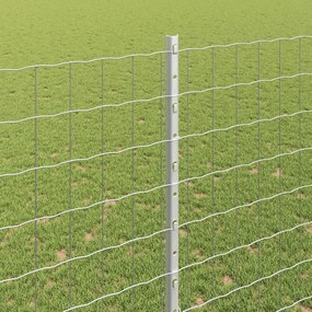 Euro plot s pilotem 10 x 1,6 m Pozinkovaná ocel Stříbrná 3336159