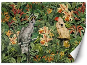 Gario Fototapeta Dva tropickí papoušci - Andrea Haase Materiál: Vliesová, Rozměry: 200 x 140 cm