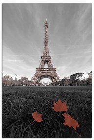 Obraz na plátně - Ráno v Paříži - obdélník 736FA (60x40 cm)