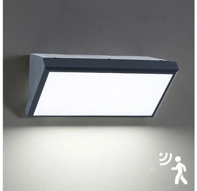 Brilagi Brilagi - LED Venkovní nástěnné svítidlo se senzorem TRIANGLE LED/20W/230V antr. BG1021