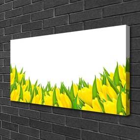 Obraz na plátně Květiny Příroda Tulipány 100x50 cm