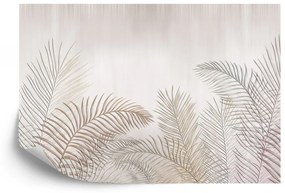 Fototapeta Palmové Listy Na Světlém Pozadí Hladký vinyl 450x300